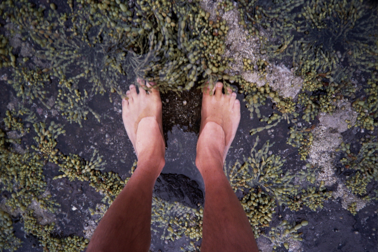 The Importance of Grounding – Zalah Wellness